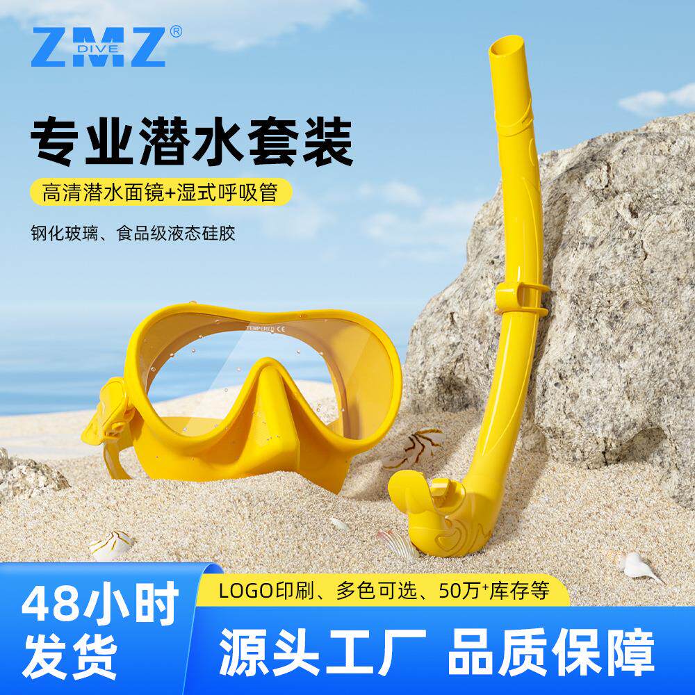 潜水镜 潜水套装 潜水面镜潜伏面镜潜水套装湿式呼吸管套装游泳
