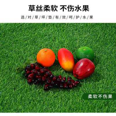 超市水果架草坪垫子塑料仿外YJJ06663真天草皮假户屋顶防晒工台人