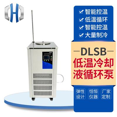 DLSB低温冷却液循环泵冷水机5/10/20L实验室低温冷却循环泵
