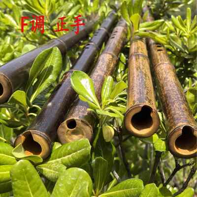 高档紫竹老料8专业纯手工调精制古风孔洞箫GF悦乐器初学送陈教学