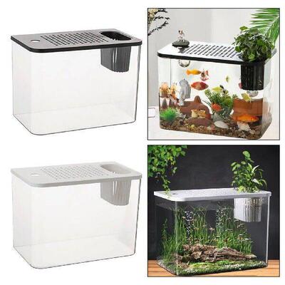 Reptile Terrarium Desktop with Full View Visually for