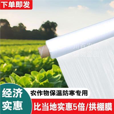 【一湿次性农用JPD种植白地膜薄膜保】温保大蒜生玉米专业蔬菜花