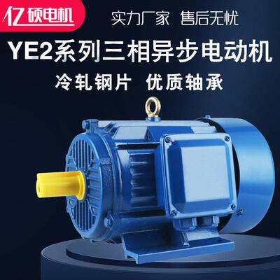厂家直发三相异步电动机 Y3E3系列.Y22 纯铜 55w-6 YE2-13032M-6