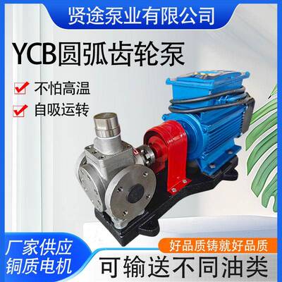圆弧齿轮泵现货供应04不锈钢齿轮泵YCB1.6电动增压燃油泵压力泵