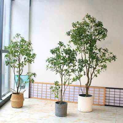 中地日式服装酒真店客厅橱窗落花艺造景绿植塑MHCB-MZU物料套装仿
