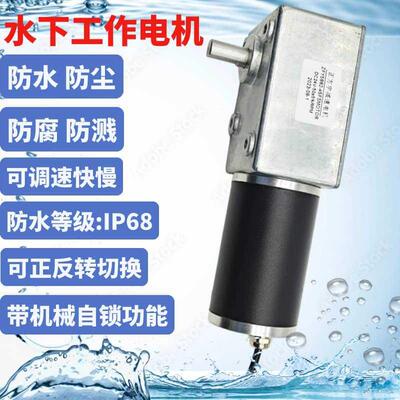 ZFY5882-45防尘IP68防水电机涡轮蜗杆全金属齿轮直流电动机减速