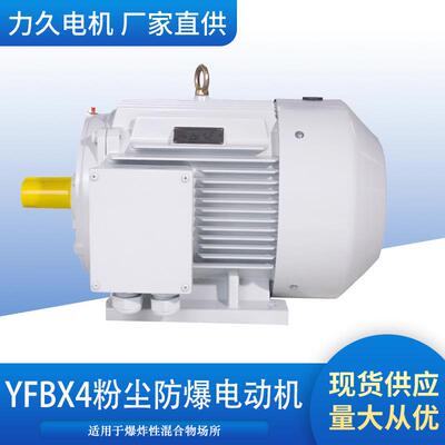 YFBX4粉尘防爆电机2000w3000w4000w立式卧式三相电机厂家直发