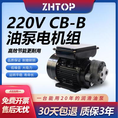 液压齿轮泵0.37W-CB-B2.5/B4/B6/B100.55大流量220V高压油泵