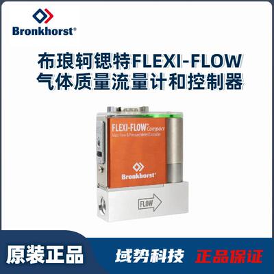 Bronkhorst布琅轲锶特FLEXI-FLOW气体质量流量计和控制器原装进口