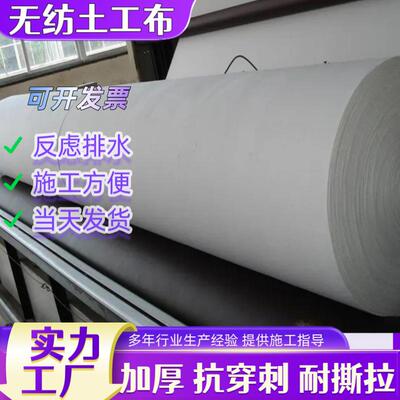 土工布工程布短丝白色涤纶养护加固公路隧道返滤国标2000g土工布