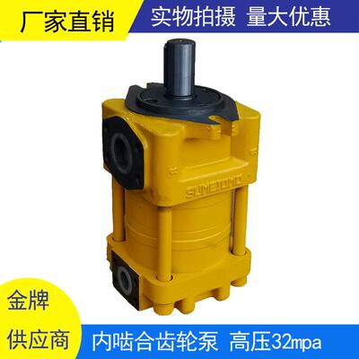 厂家销售折弯机剪板机油压机G20F 高压内齿泵液压齿轮泵 GEARPUMP