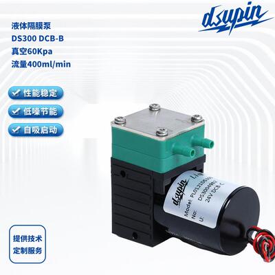 液体隔膜泵DS300 DCB-B微型隔膜泵12V/24V小型调压泵液体泵