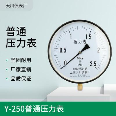 上海天川压力表Y-250锅炉压力表1.6MPa蒸气表10寸DN154分