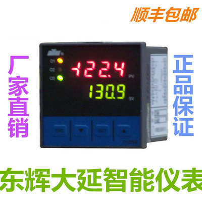 东辉仪表DY2000 福建东辉数显仪表 东辉智能仪器 东辉大延牌仪表