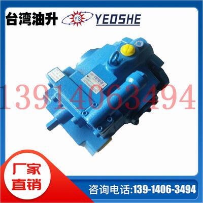 50A3R10X V50A4柱R10X V5齐全0A2R10X全台湾YVEOSHE油昇新变量塞