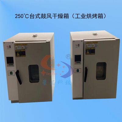 立式鼓风干燥箱250℃9030A（30L）工业小烤箱工业用小烤箱