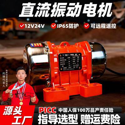直流振动电机24V12V自卸车振动电机MVE200DC搅拌车载震动马达电机