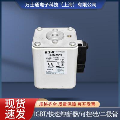 170M5952/5953/5954/5955/5956/5957/595/5959/5960/5961熔断器