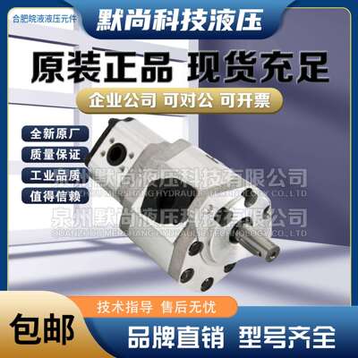 合肥皖液齿轮泵CBQT-E563/E432F550/F425F540/F420-AF双联油泵