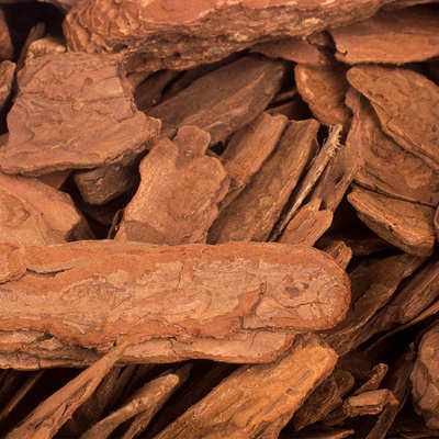 打磨松树皮松鳞园林绿化覆盖物造景花园美化pine chip mulch