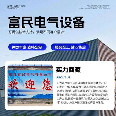 现室货室外电箱家配用户外防雨动配力控制箱内明装250*300*电柜监