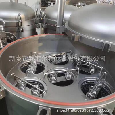 15m³/h DN 40 插入式滤芯保安过滤器 啤酒行业精密过滤器