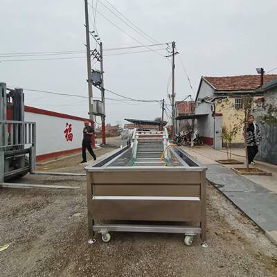 韭菜气浪气泡清洗设备 全自动彩椒圣女果气泡输送气泡清洗设备