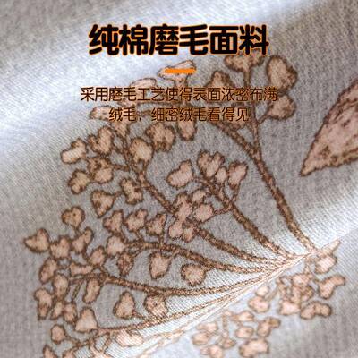 A加厚纯棉磨毛被套单全棉150x件200X20被罩被单DW-002-1秋冬季202