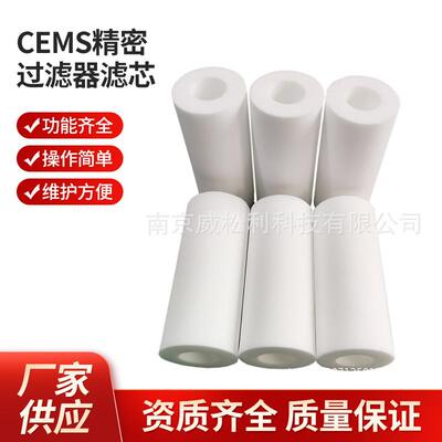 CEMS精密过滤器滤芯 高分子滤芯 南京过滤器可