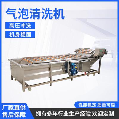 果蔬清洗机全自动商用芋头西梅西蓝花生菜高压喷淋气泡清洗机