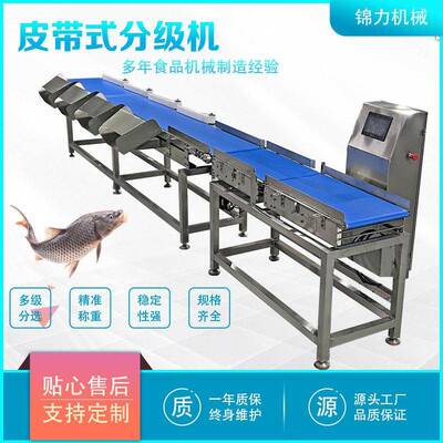 鲤鱼鲶鱼多鱼重量分级多规格等级分选智能重量分选