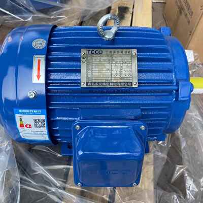 -TTEF3100电机E3100L14AEMBF3N