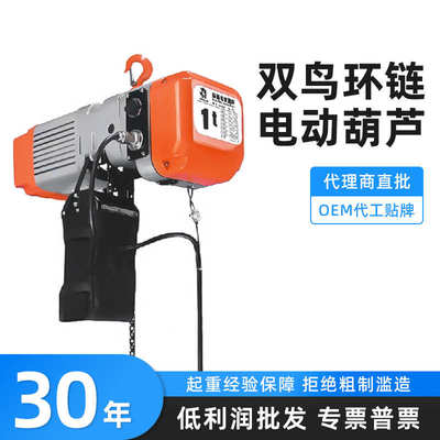 双鸟牌电动葫芦链条起重提升机1吨2t3T5t鬼头款SHH-A型环链电葫芦