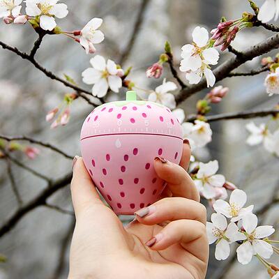 直销新款果蔬时间管理器机械倒时提醒器厨房定时计时器学生timer