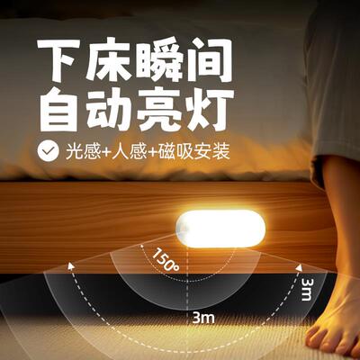 Lyridz智能人体感应灯小夜灯床头充电起夜入户过道厕所人来即亮