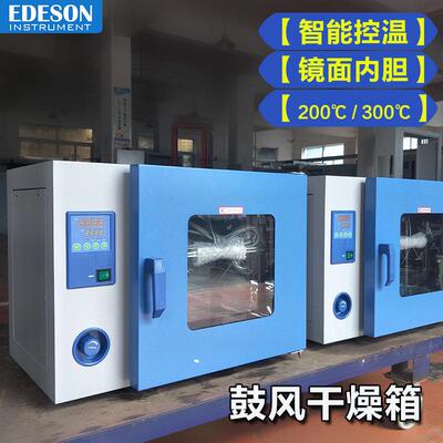 新一代DHG-9123AS电热恒温鼓风干燥箱200℃
