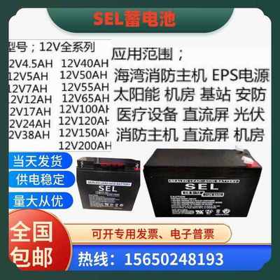 SEL蓄电池CB19-12应急启动电源12V19AH登路普邓禄普12V9AH17A电瓶