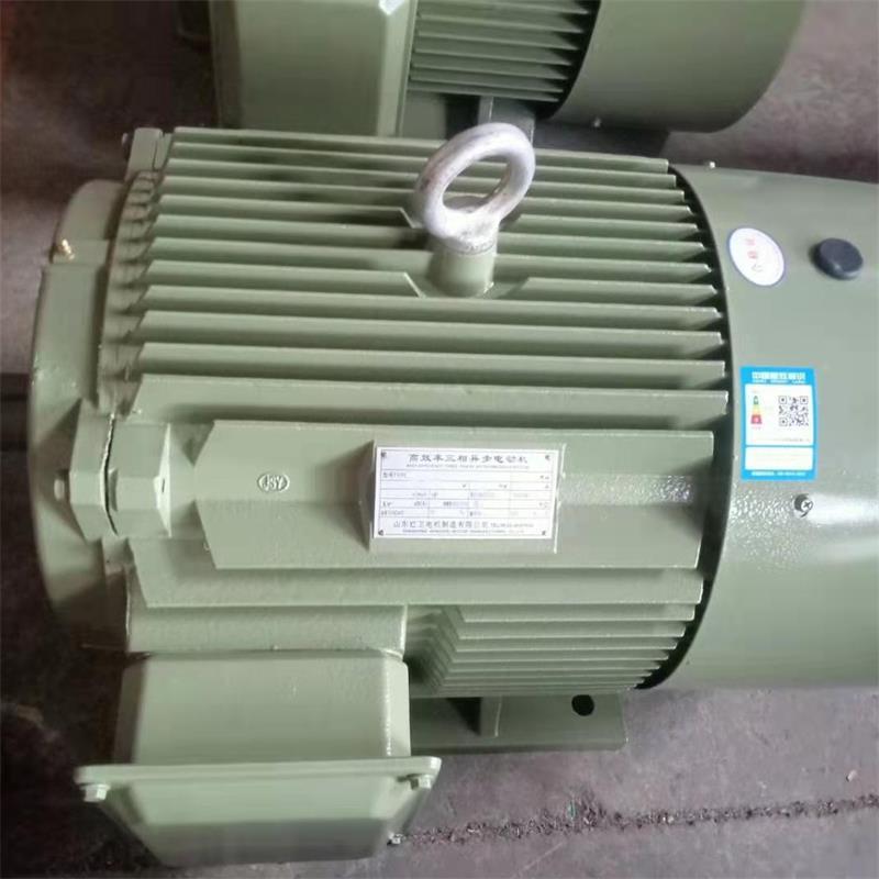 山东源头厂家供应YE3-250M-4/55W低噪音三相异步电动机质保