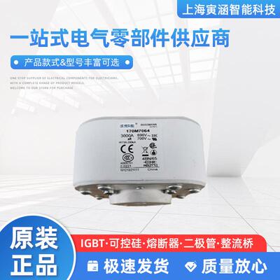 直流快速熔断器170M6714 170M6723 170M6734 170M6752 170M6766