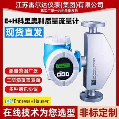 e+h质量流量计80F83F80E83E测量精准经久耐用功能稳定E+H