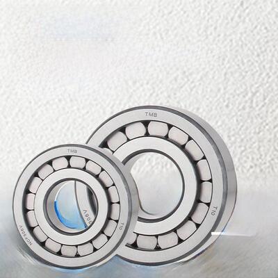 全球圆柱滚子轴承Ncf Ncl 203 204 205 206 207 208 209 210V