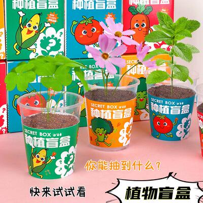 Children's Plant Growing Pots Mystery Box - Ideal Graduation