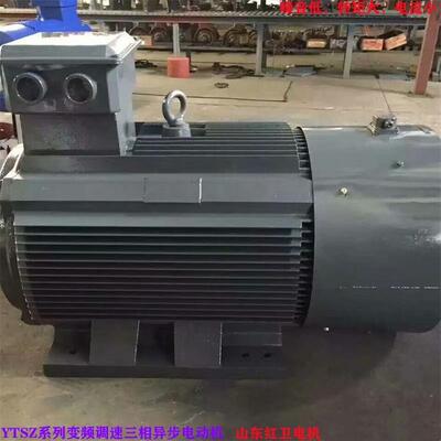 山东厂家直供 YTSZ315L-6/160W YTSZ起重变频调速三相异步电动机
