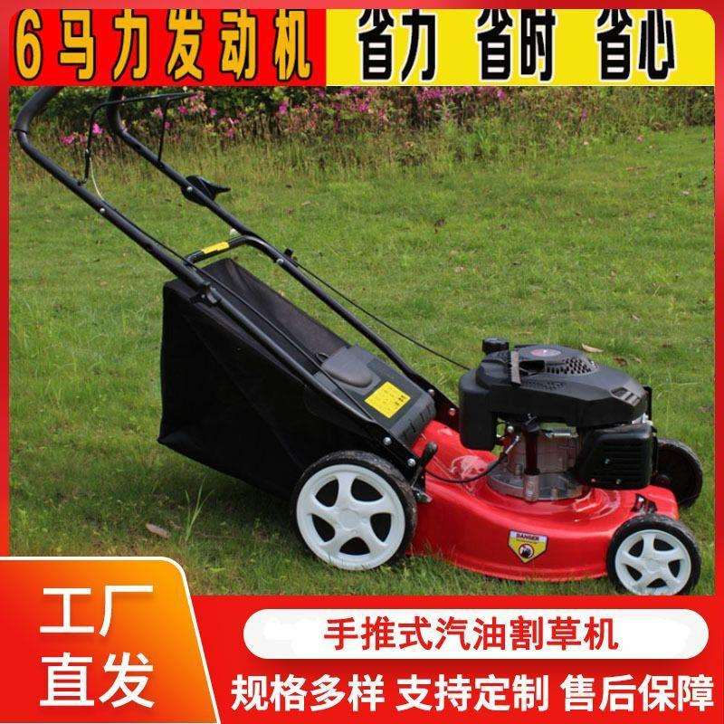 轻便款推草车 18寸四冲程汽油手推式自走割草机 汽油绿化草坪机