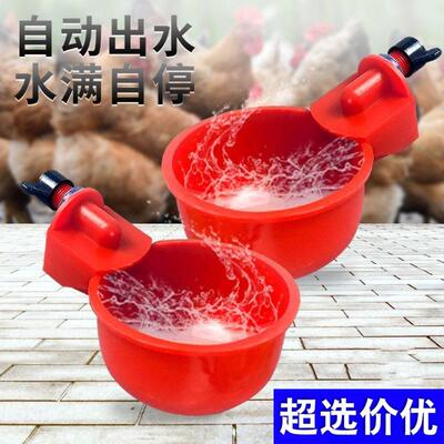 Large Plastic Hanging Water Trough for Chickens and Ducks, P