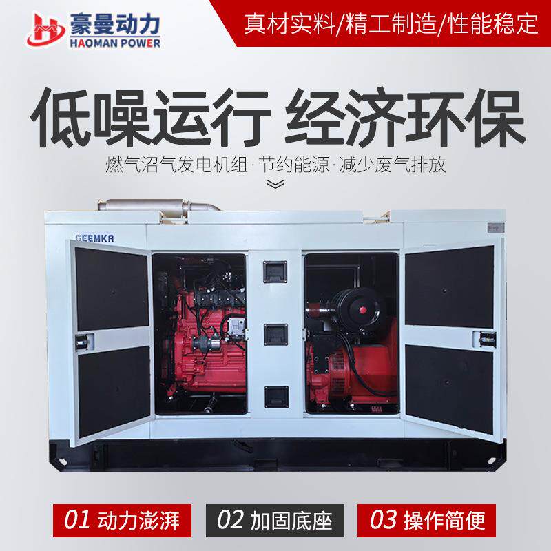 250KW天燃气发电机养殖场用餐厨垃圾填埋厂用200千瓦沼气发电机组