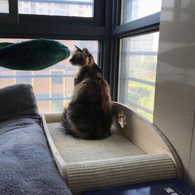 剑麻猫抓板猫窝耐磨不屑四季通用猫咪用品耐抓沙发床实木猫爪板