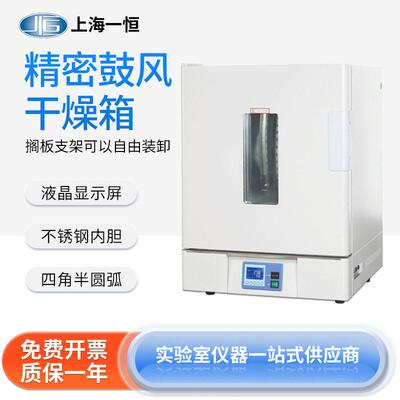 上海精密鼓风干燥箱BPG-9040A实验室工业烤箱小型恒温烘箱