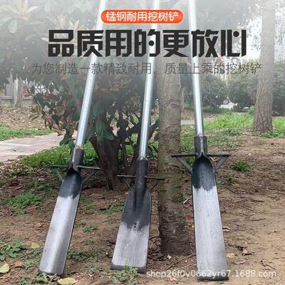 锰钢挖树铲子起苗树根园林工具洛阳挖土沟地铁锹农用翻土园林专用