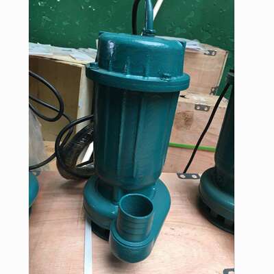 WQD小型单相潜水排污泵 家用污水潜污泵 可手提抽水泵220V